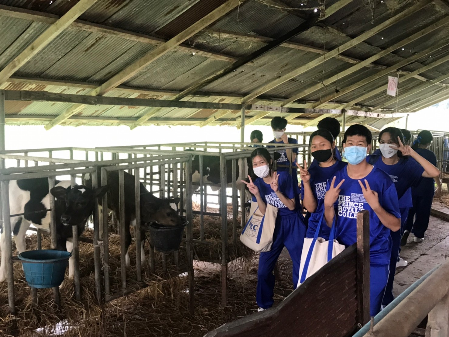 Drive your passion. Boost your veterinarian skills. – The Prince Royal ...